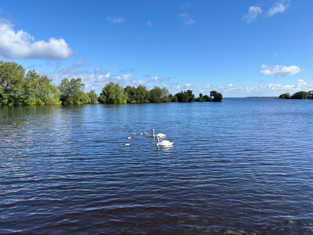 don’t be scared, be inspired – Climate Child
